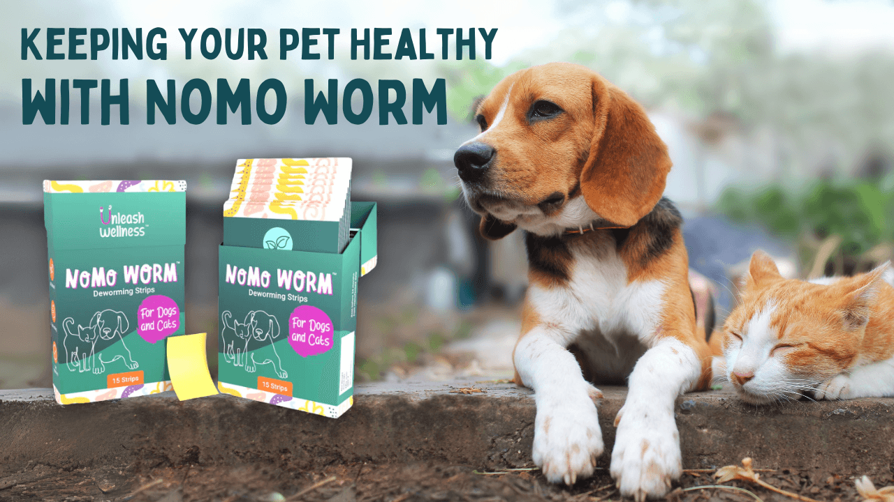 Keeping Your Pet Healthy with Nomo Worm | Unleash Wellness